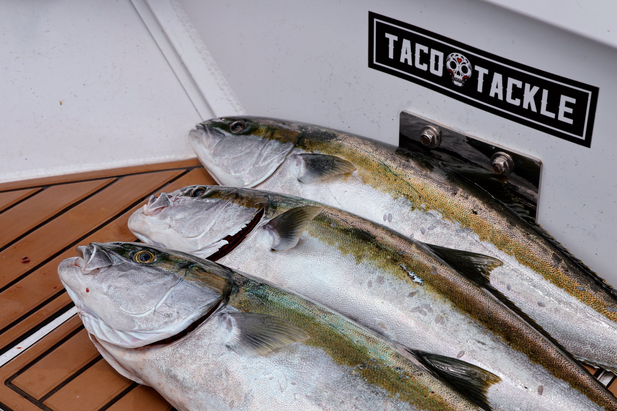 Taco Tackle | Elevate Your Fishing Game with Taco Tackle Australia!