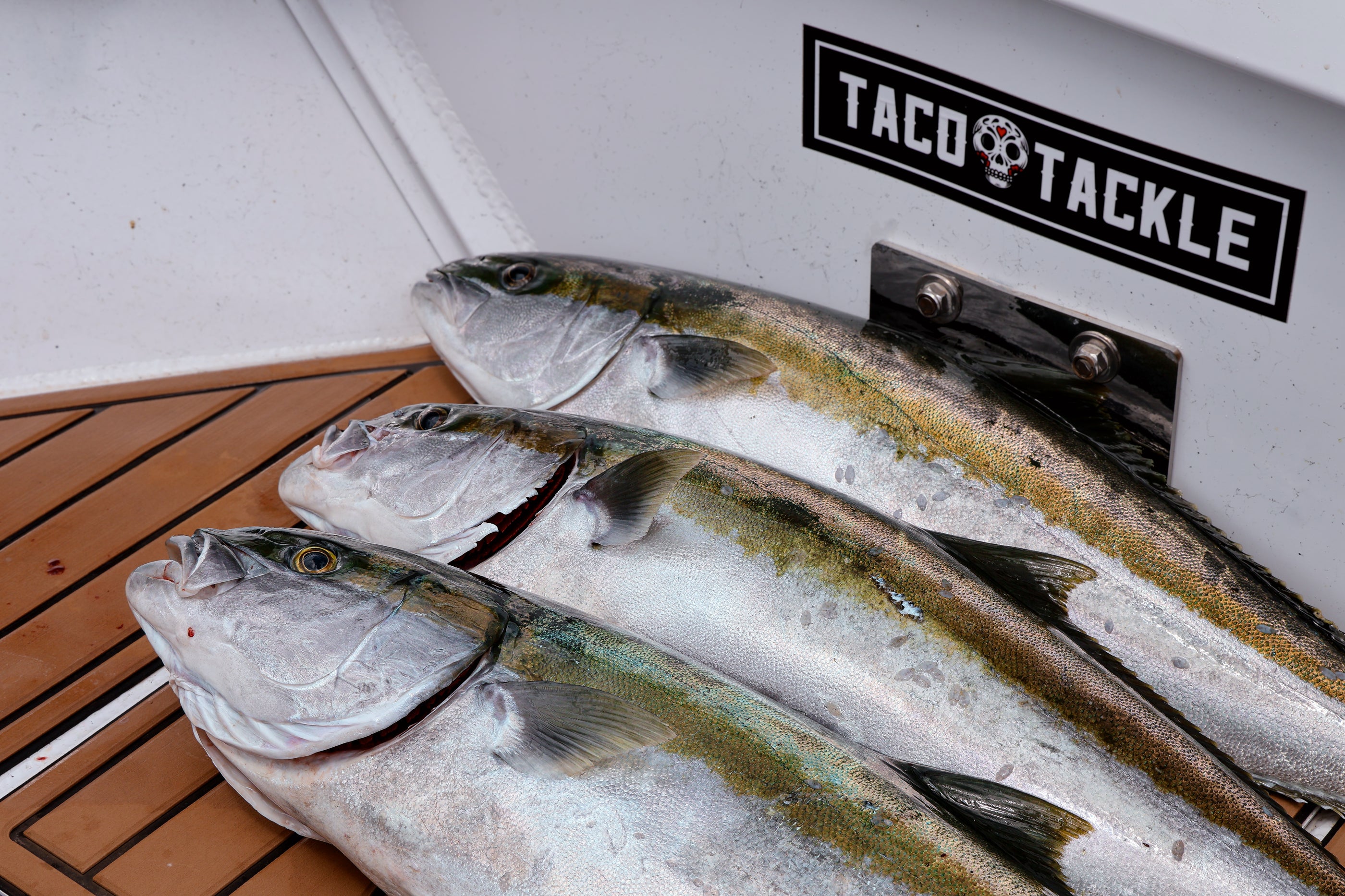 Taco Tackle | Elevate Your Fishing Game with Taco Tackle Australia!